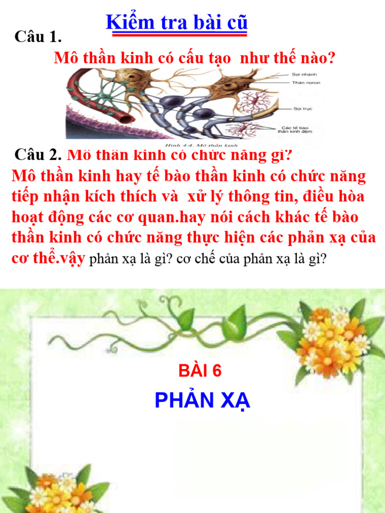 Bai 6 Phan Xa | PDF
