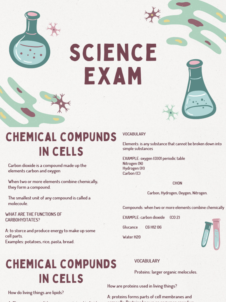 Science Exam 7th Grade | PDF | Science & Mathematics