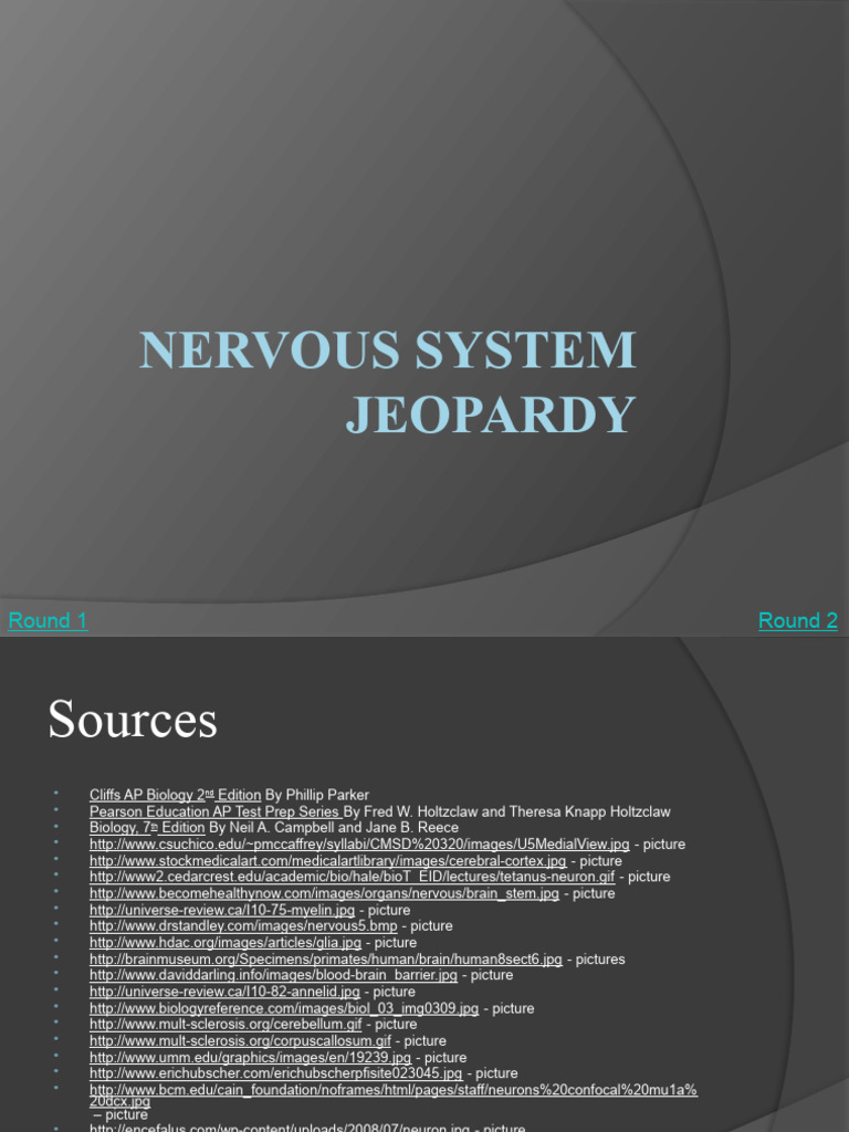 Nervous System Jeopardy | PDF | Computers | Technology & Engineering