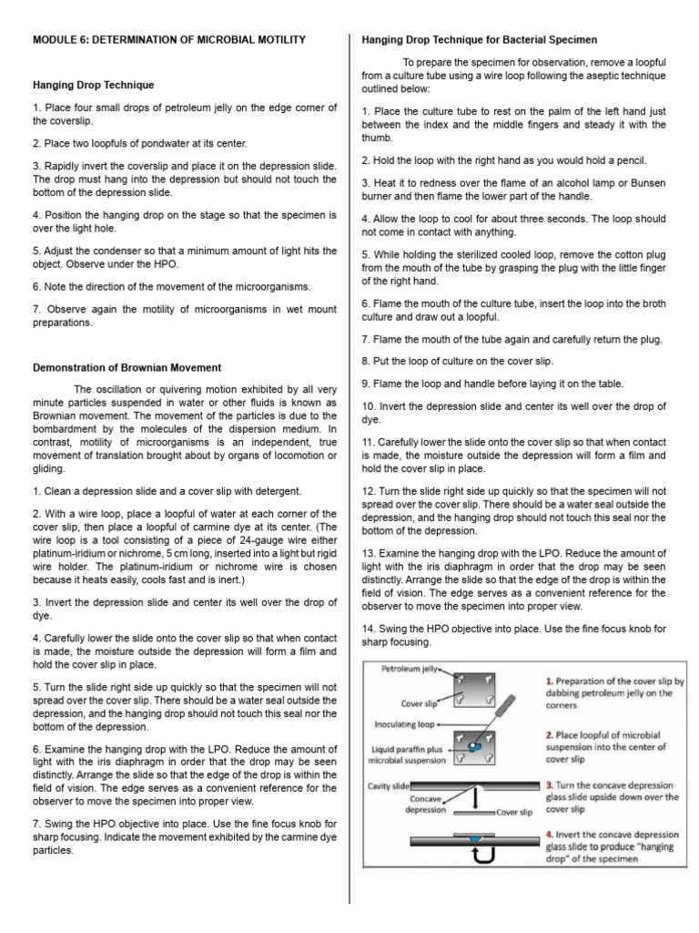 MODULE-6-to-9-lab | PDF | Physical Sciences | Microbiology