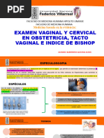 GUIA de ESTUDIO Especuloscopía | PDF | Vagina | Medicina