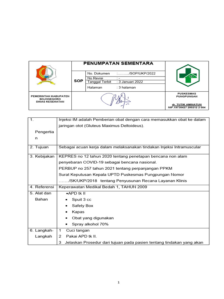Sop Injeksi Im | PDF