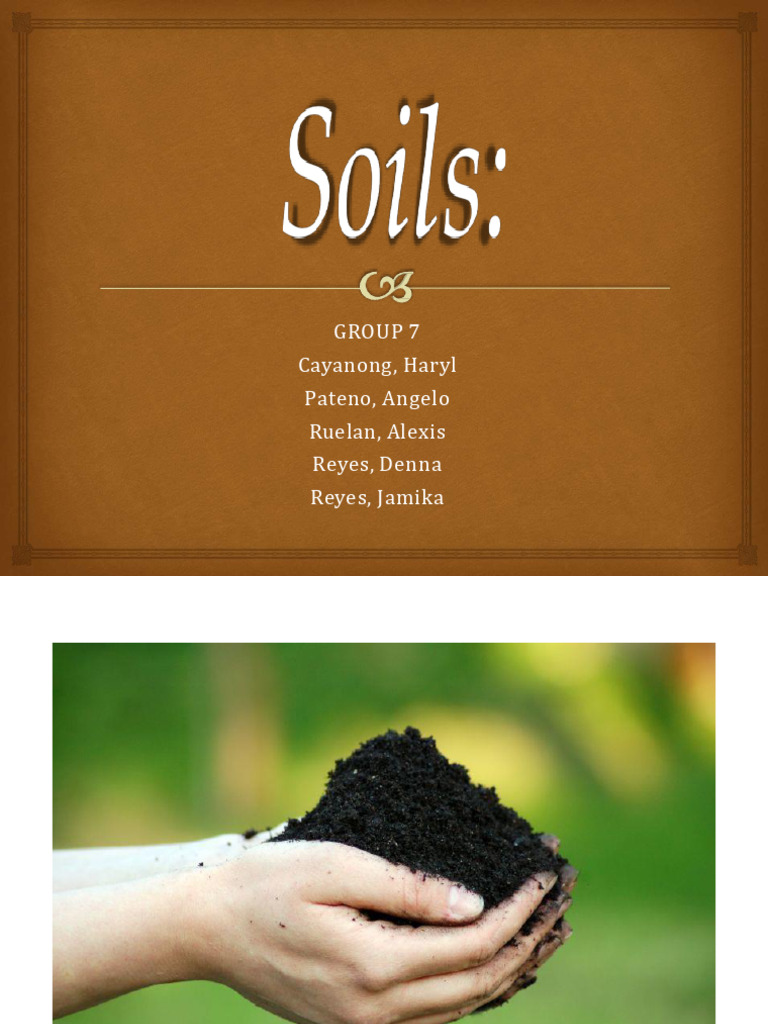 G7 Soil | PDF | Soil | Organic Matter