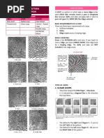Central Pocket Loop Whorl | PDF