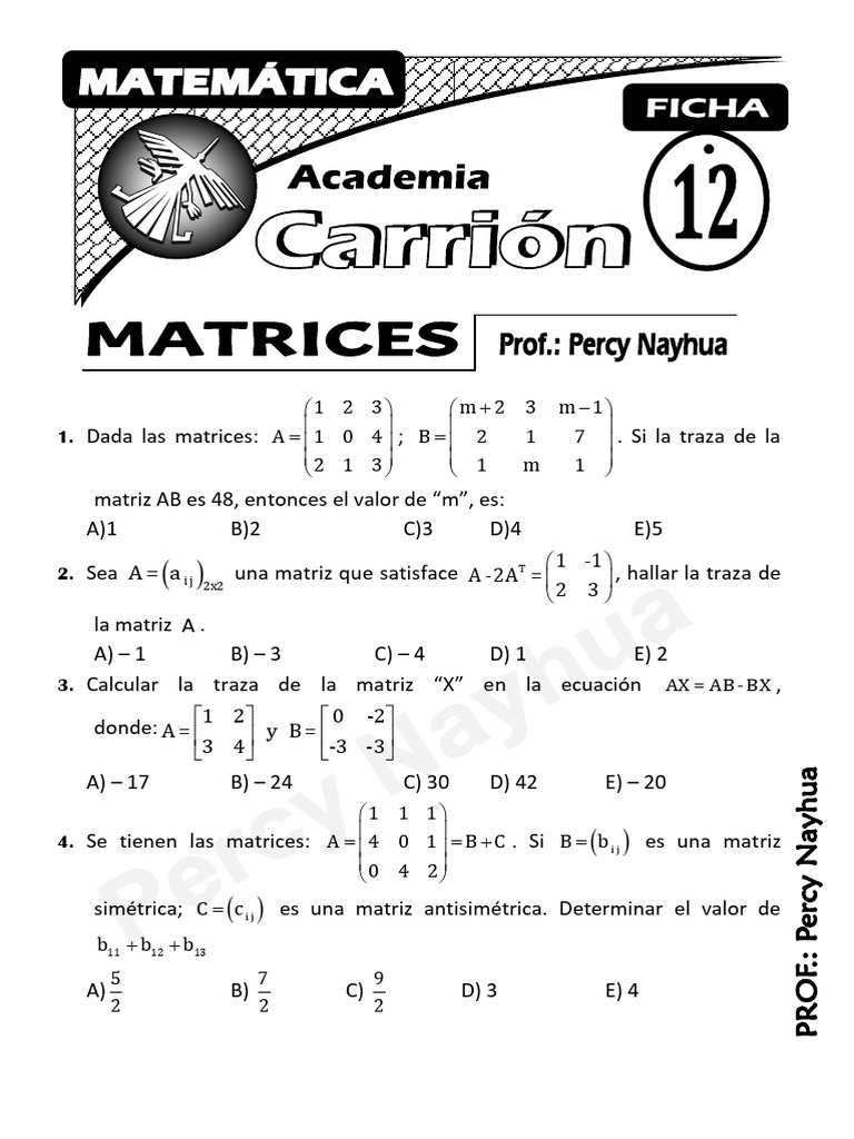 Matrices | PDF | Matriz (Matemáticas) | Objetos matemáticos