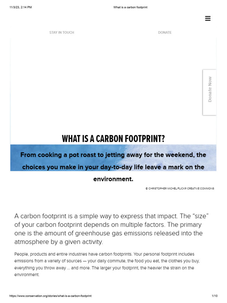 Understanding Your Carbon Footprint | PDF | Carbon Footprint | Life ...
