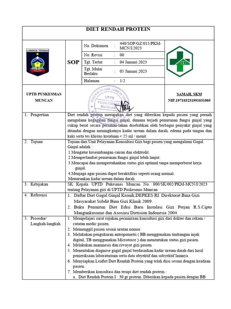 Sop Rendah Protein | PDF