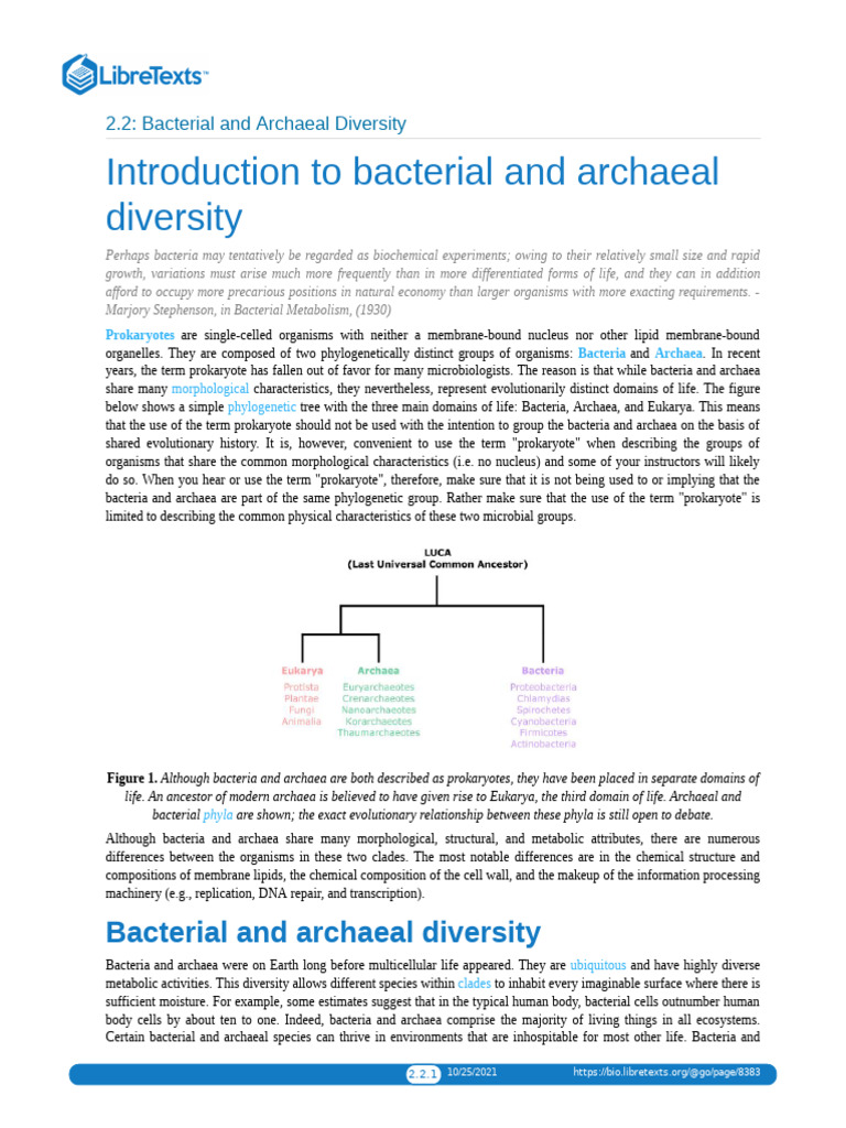 Bacterial & Archaeal Diversity Explained | PDF | Archaea | Bacteria