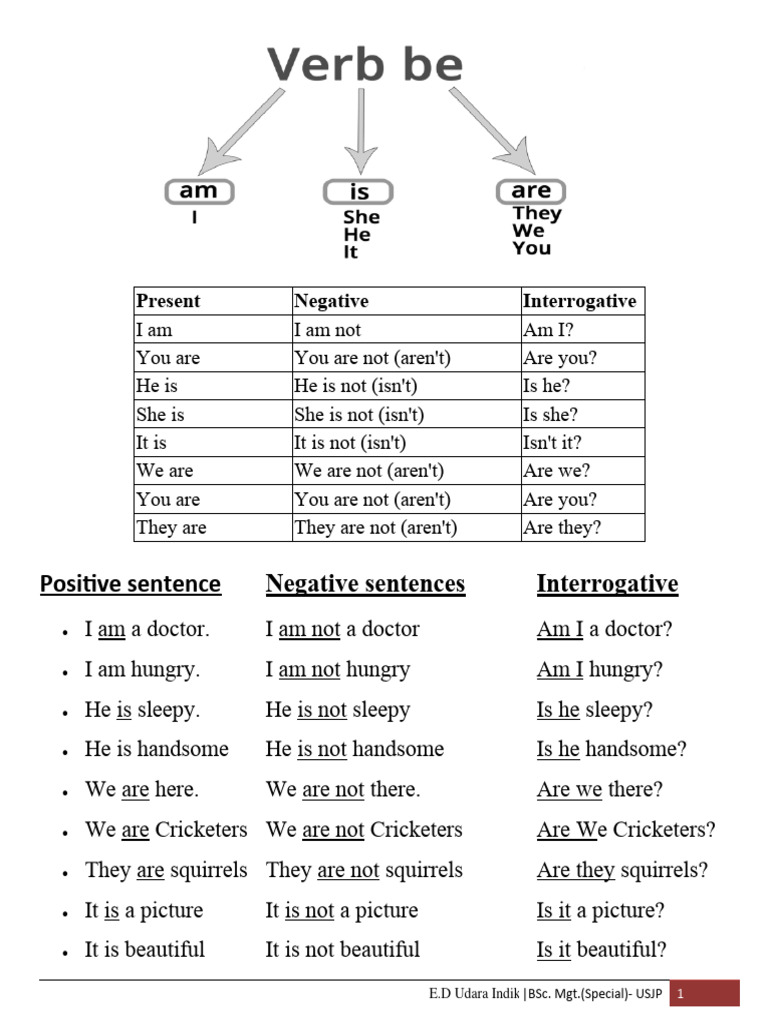 Positive Sentence Negative Sentences Interrogative | PDF