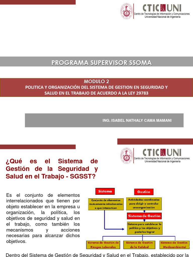SSOMA | PDF | Seguridad y salud ocupacional | Valores