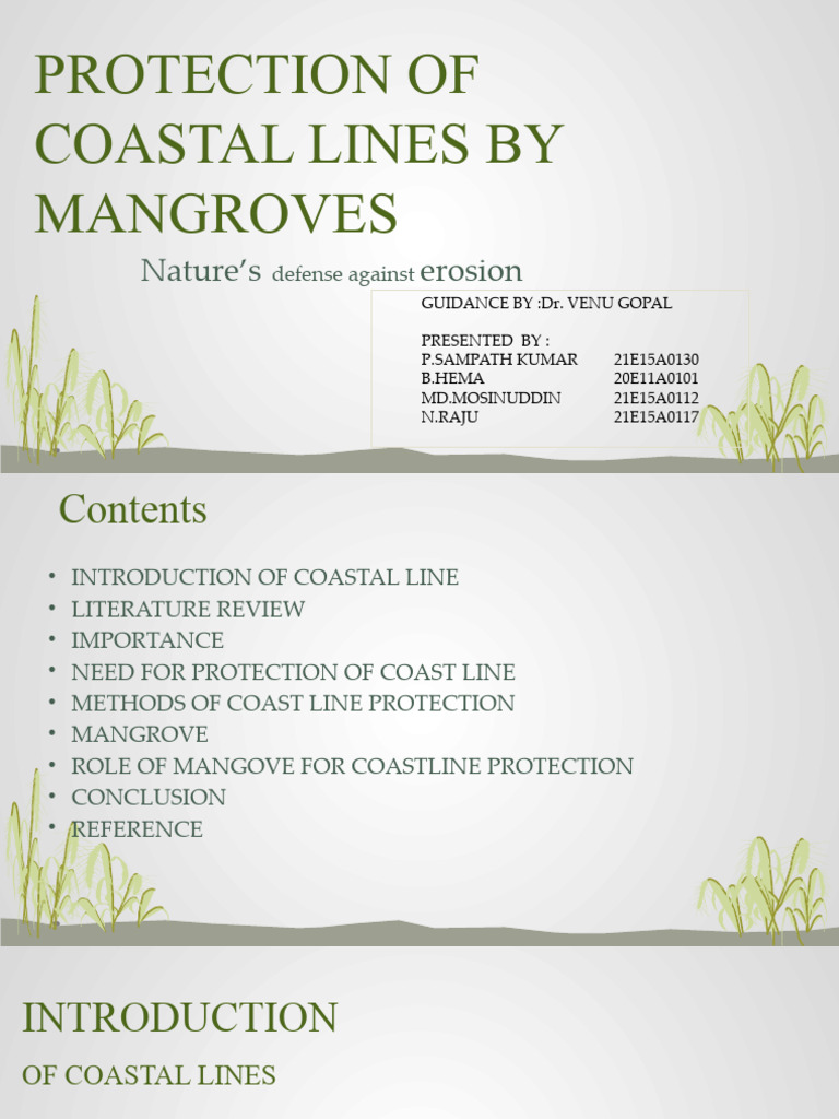 Mangroves: Coastal Erosion Protection | PDF | Mangrove | Coast