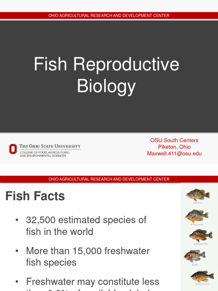 Fish Reproductive Biology Overview | PDF