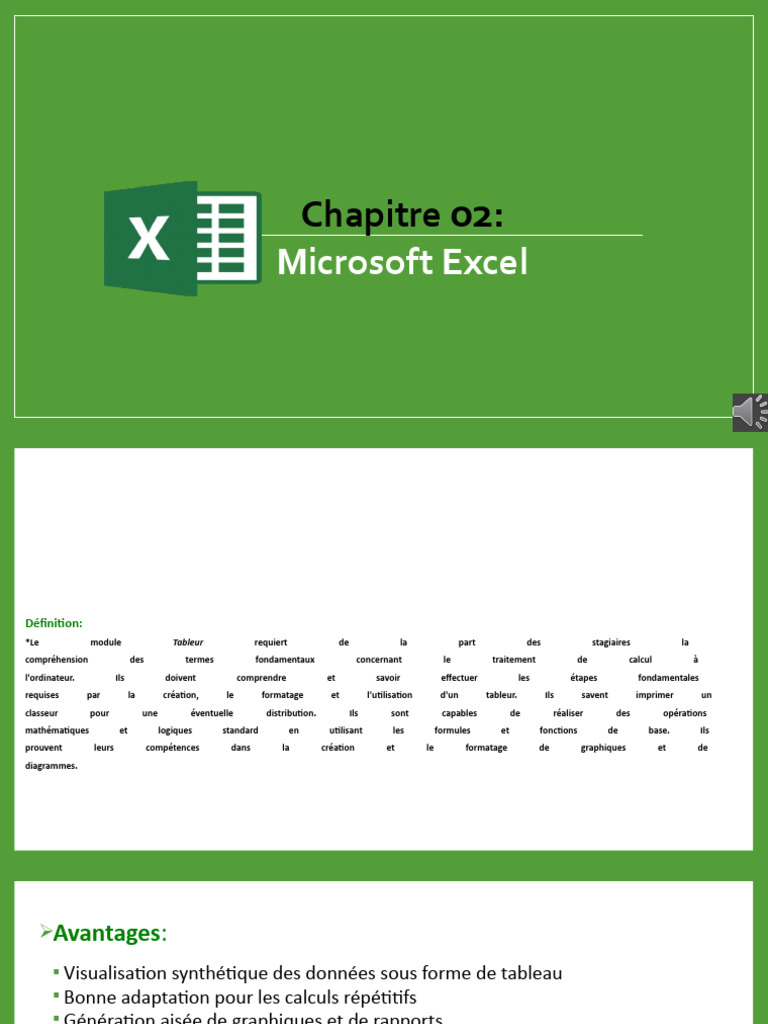 Support de Cours MS Excel | PDF | Microsoft Excel | Feuille de calcul
