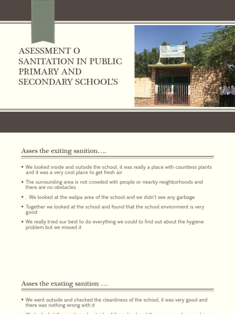 Asessment O Sanitation in Public Primary and Secondary School'S | PDF ...