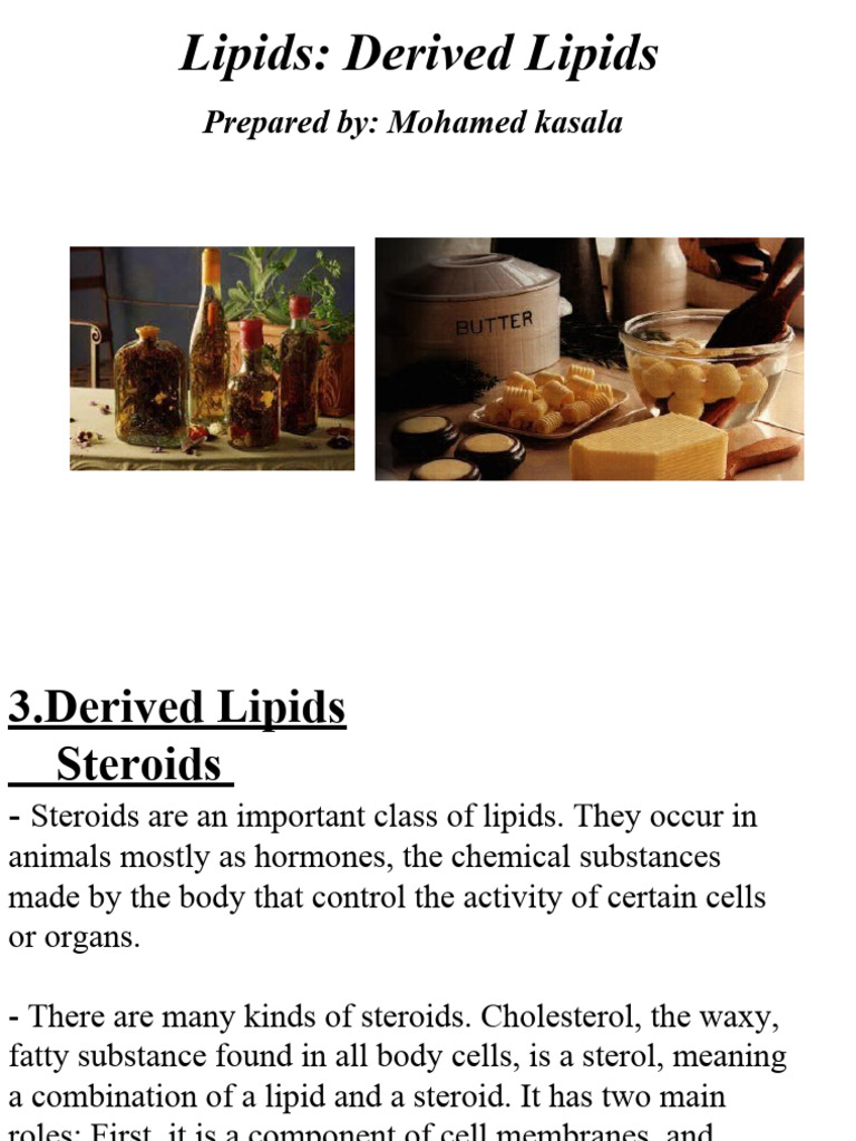 Lecture 2 Lipids 4 | PDF | Cholesterol | Lipid