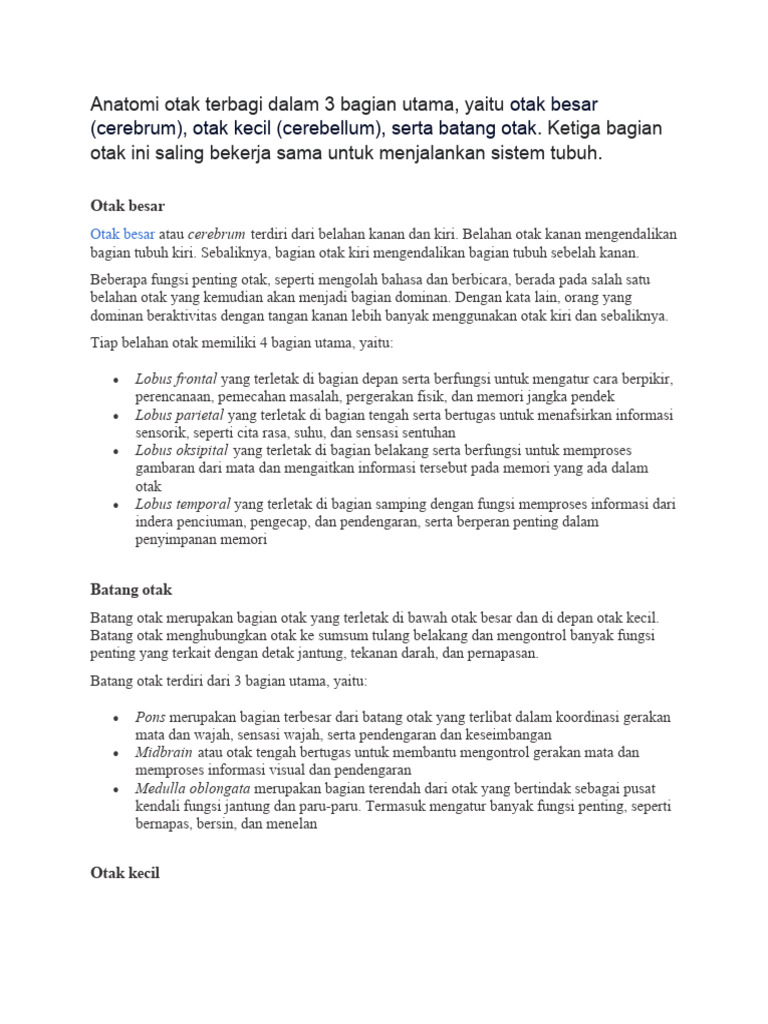 Anatomi Otak Terbagi Dalam 3 Bagian Utama | PDF Anatomi Otak Terbagi Dalam 3 Bagian Utama | PDF