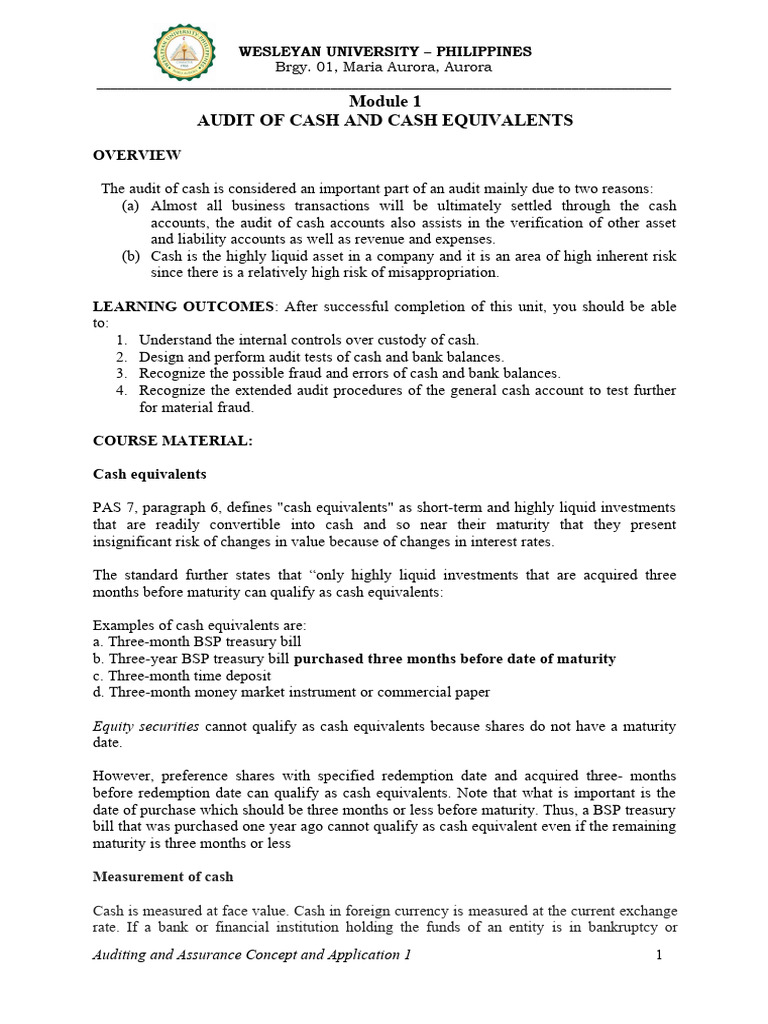 Cash and Cash Equivalents Audit Guide | PDF | Cash | Banks
