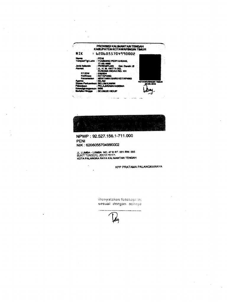CONTOH NPWP Peni | PDF