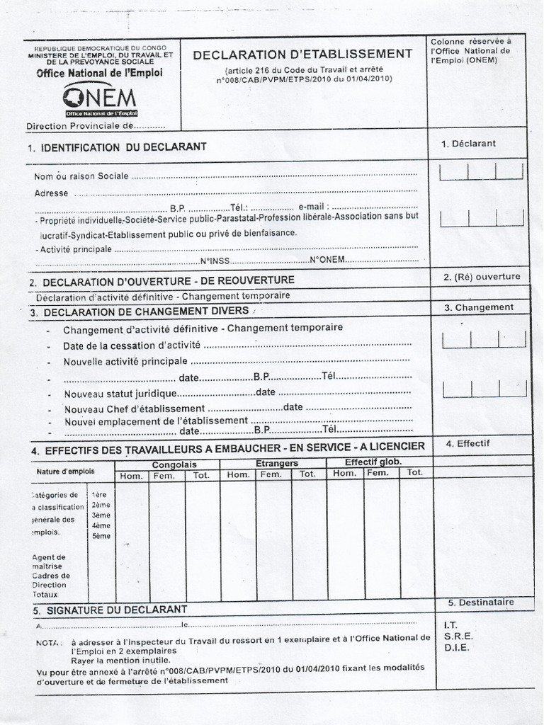 Declaration D Etablissement | PDF