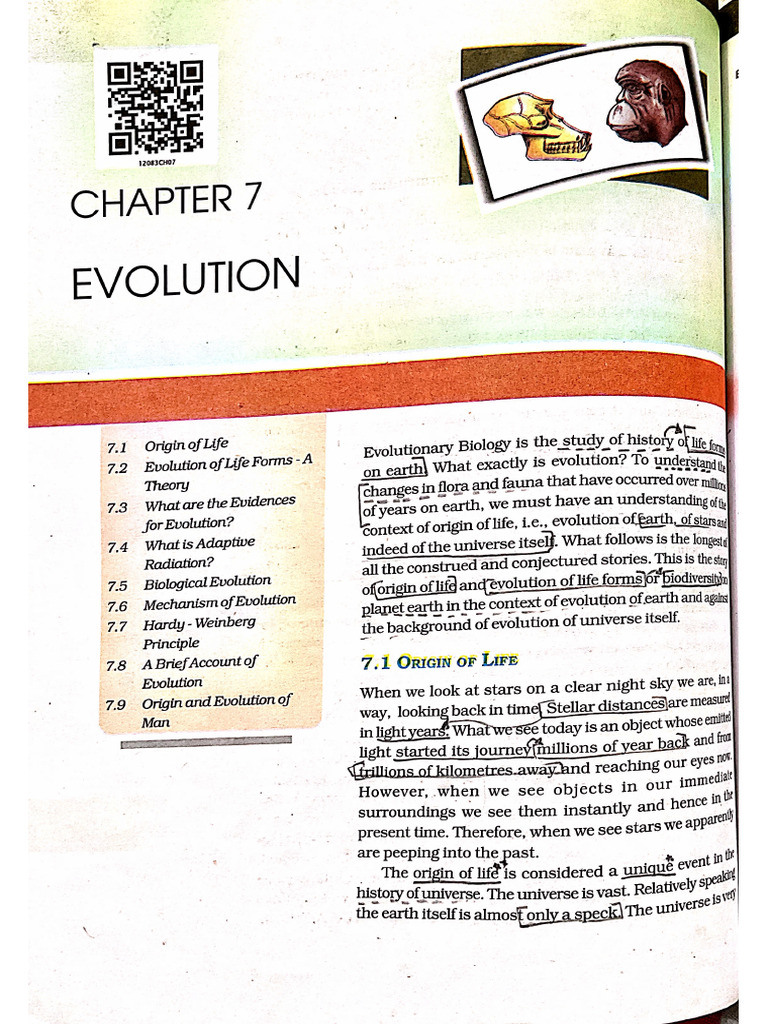 Evolution Ncert markings20230726132932023 | PDF