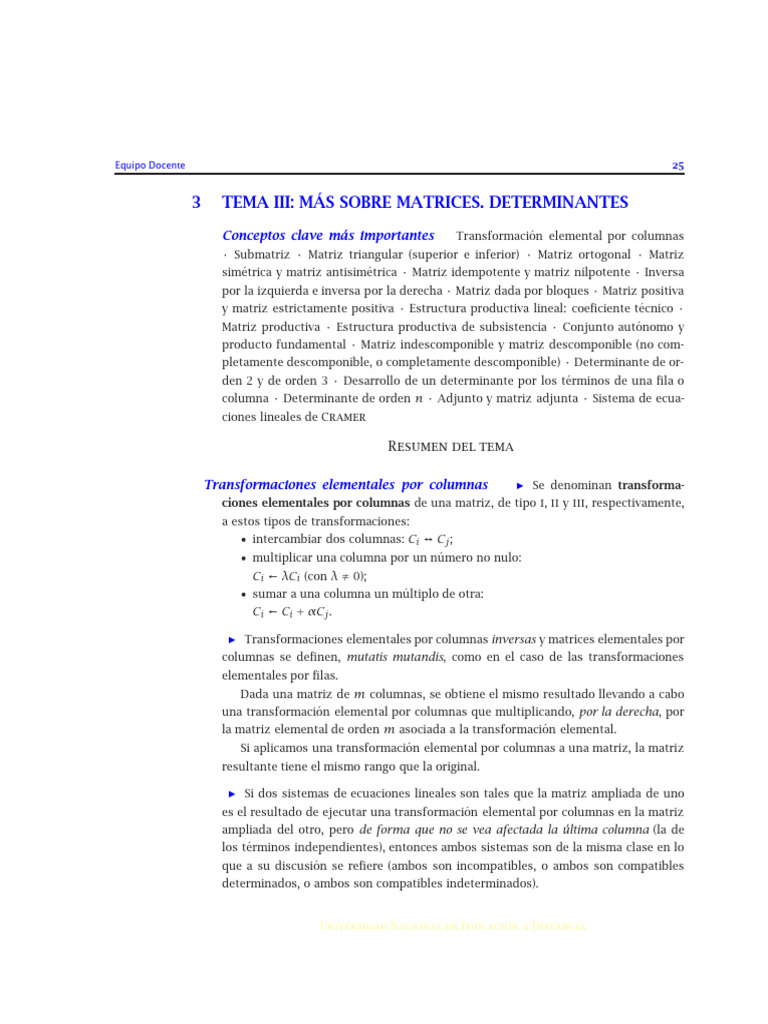Tema III - Resumen | Descargar gratis PDF | Matriz (Matemáticas) | Determinante