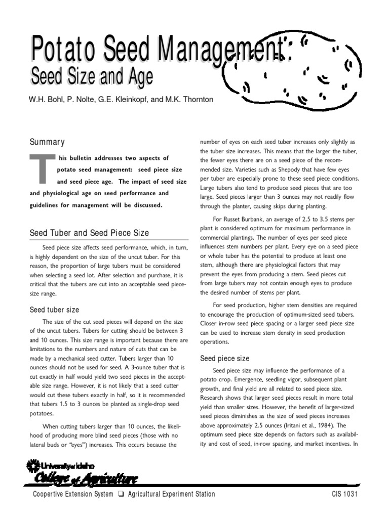 Potato Size Study | PDF | Seed | Potato