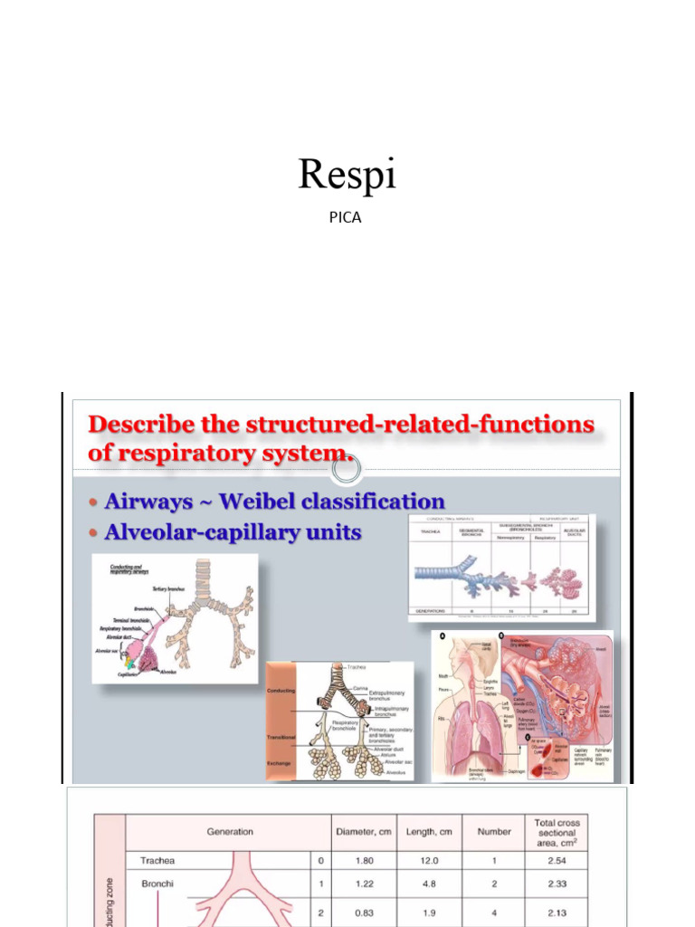 Respi by DR Omar | PDF