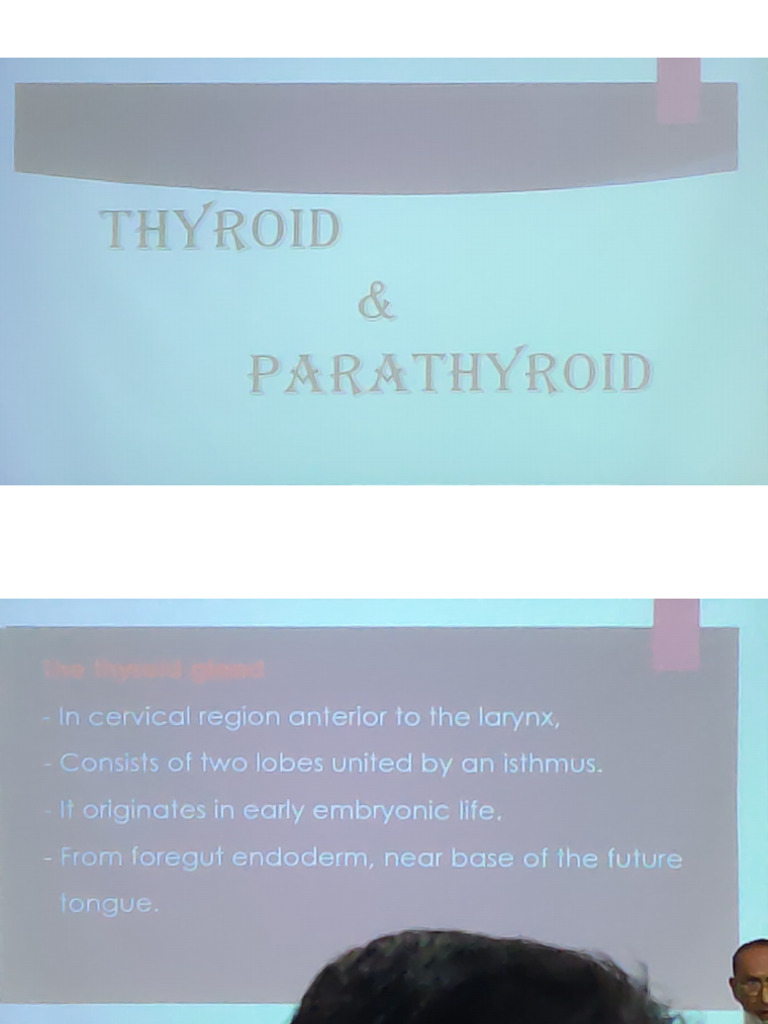 Histology of Thyroid and Parathyroid | PDF