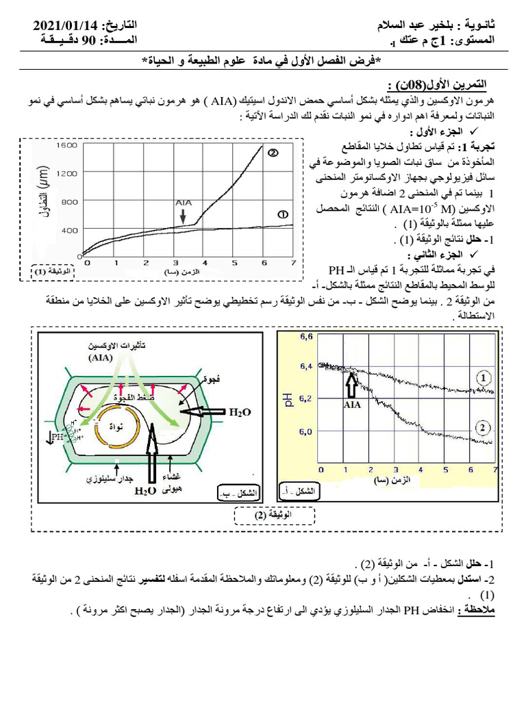 Dzexams 1as Sciences 1036927 | PDF