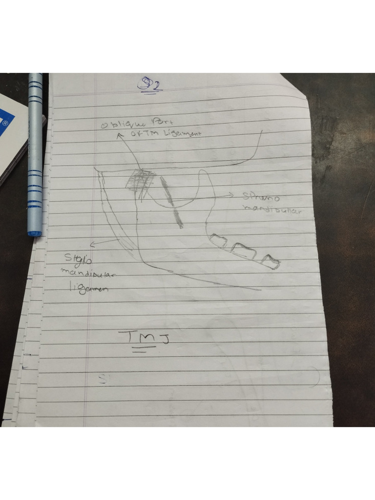 Biomechanics and Kinesiology | PDF