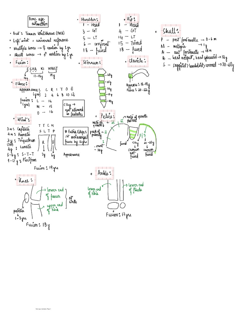 bone age estimation mind map | PDF bone age estimation mind map | PDF