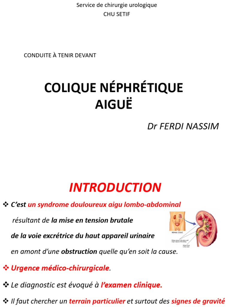 CAT Devant Un Colique Nephretique DR Ferdi | PDF | Médecine clinique ...