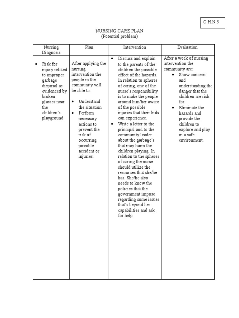 Nursing Care Plan | PDF | Risk | Hazards
