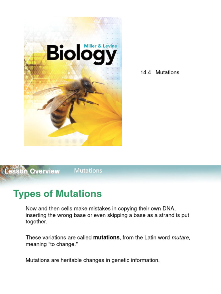 Bio Mutations Show 2019 | PDF | Mutation | Point Mutation