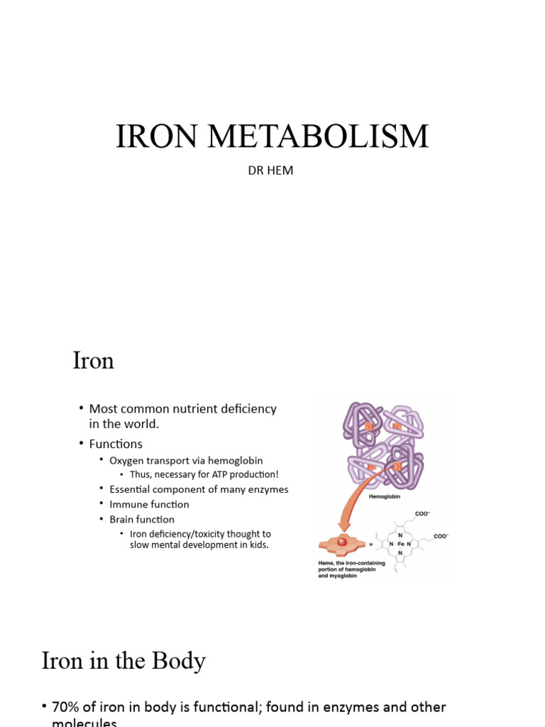 Iron Metabolism Basic DR Hem | PDF | Iron | Biochemistry