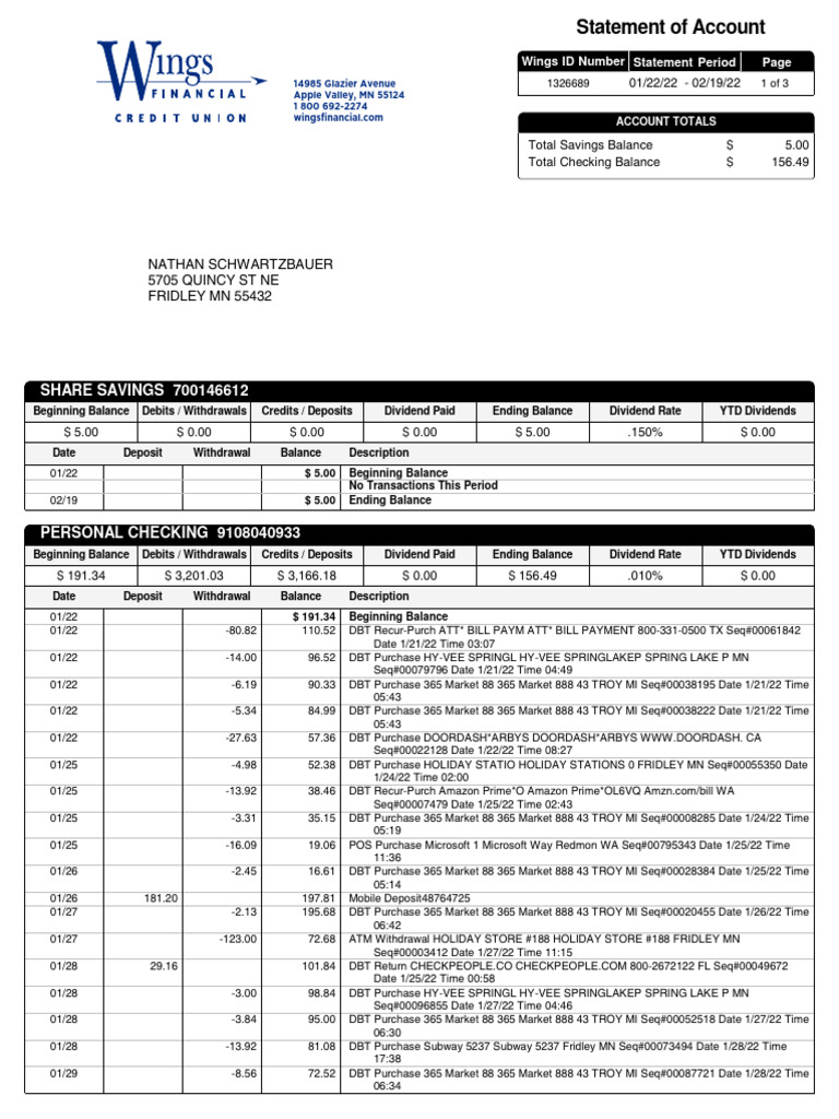 Wings Financial Statement | PDF | Transaction Account | Money