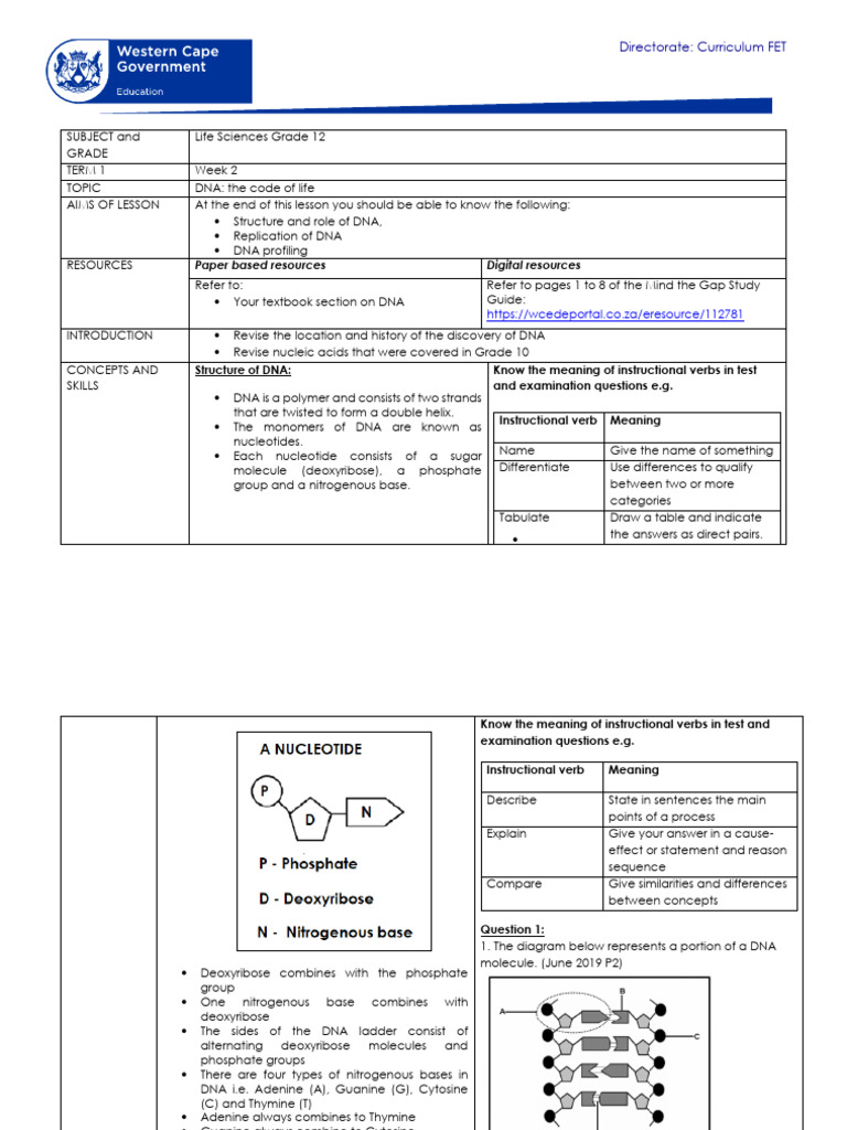 Life Sciences Grade 12 Term 1 Week 2 - 2021 | PDF | Dna | Dna Replication