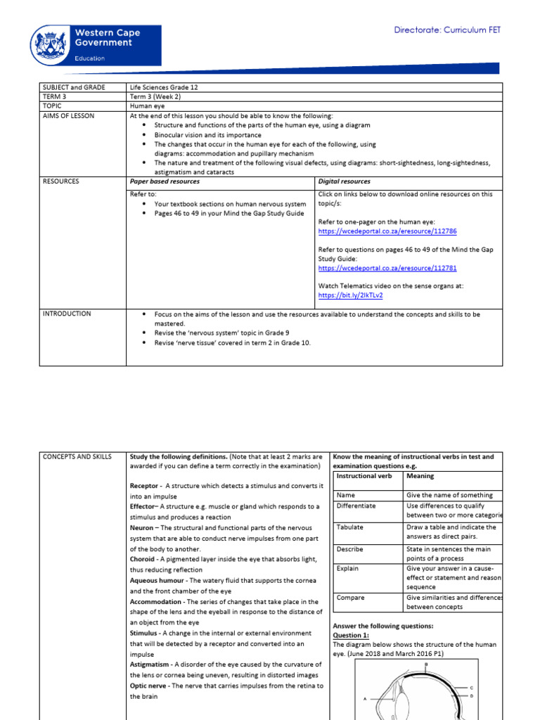 Life Sciences Grade 12 Term 3 Week 2 - 2020 | PDF | Eye | Human Eye