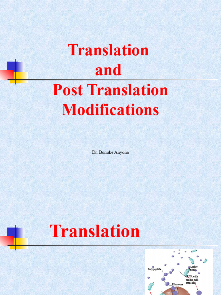 Translation and Post-Translational Modifications | PDF | Translation ...