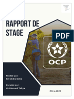 Organigramme Et Filiales de OCP | PDF
