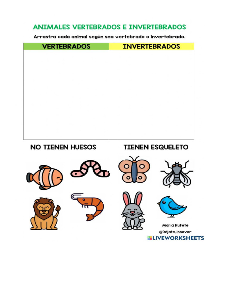 Actividad de Vertebrados e Invertebrados | PDF