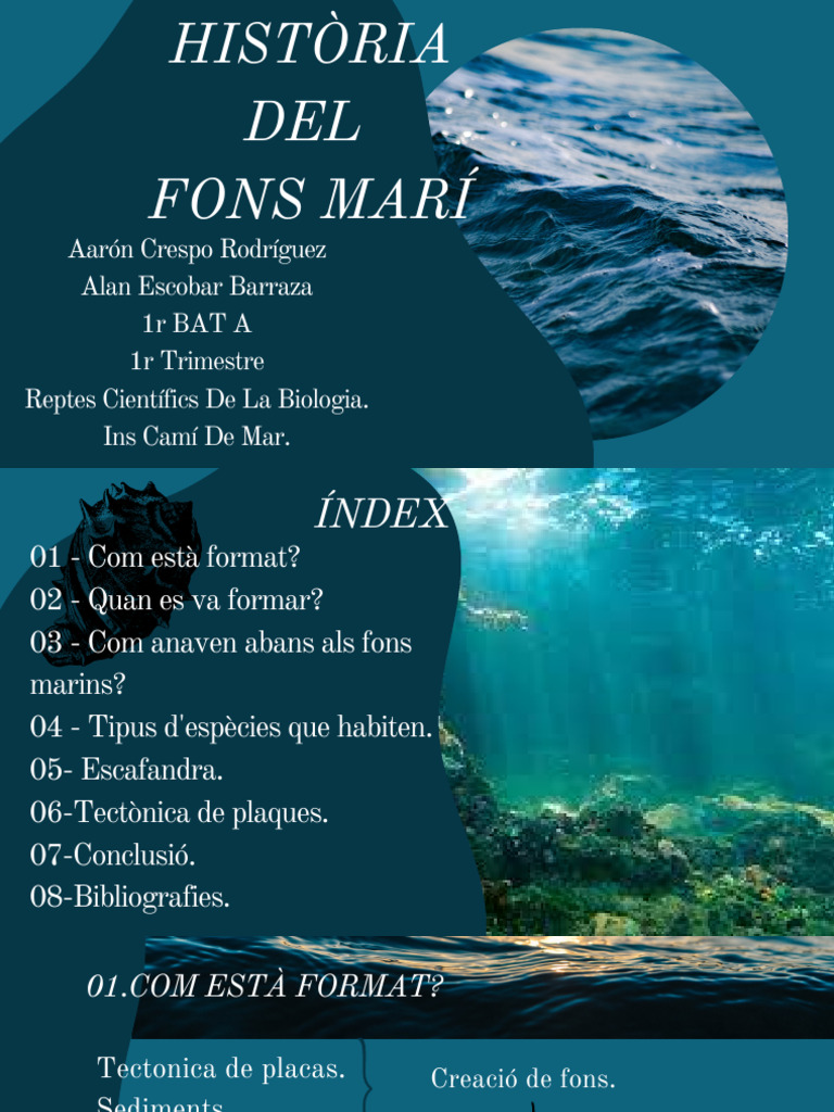 Fons Marins | PDF