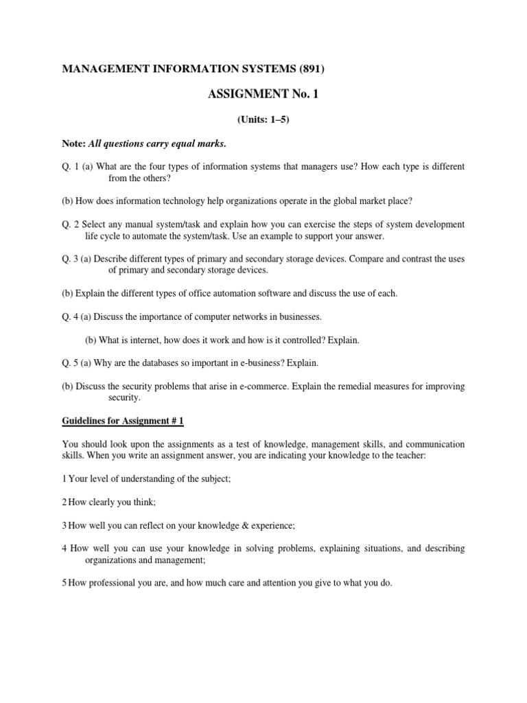 Management Information Systems (891) : Assignment No. 1 | PDF ...