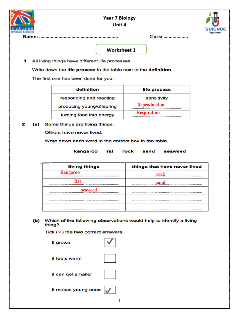 Year 7 Biology Unit4 | PDF