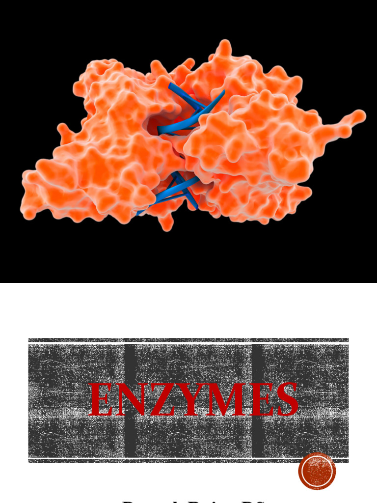Enzymes - 1 | PDF | Enzyme | Cofactor (Biochemistry)
