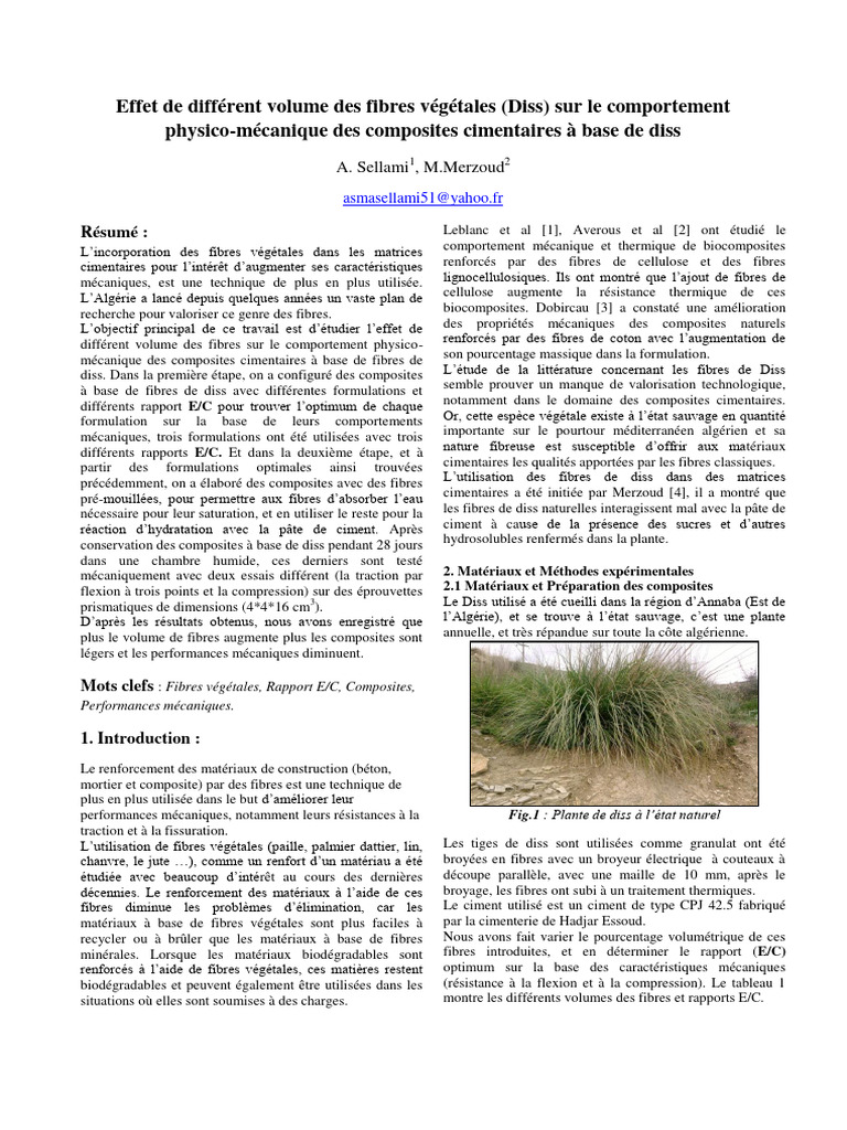 Comportement des composites cimentaires à base de Diss | PDF | Matériau ...