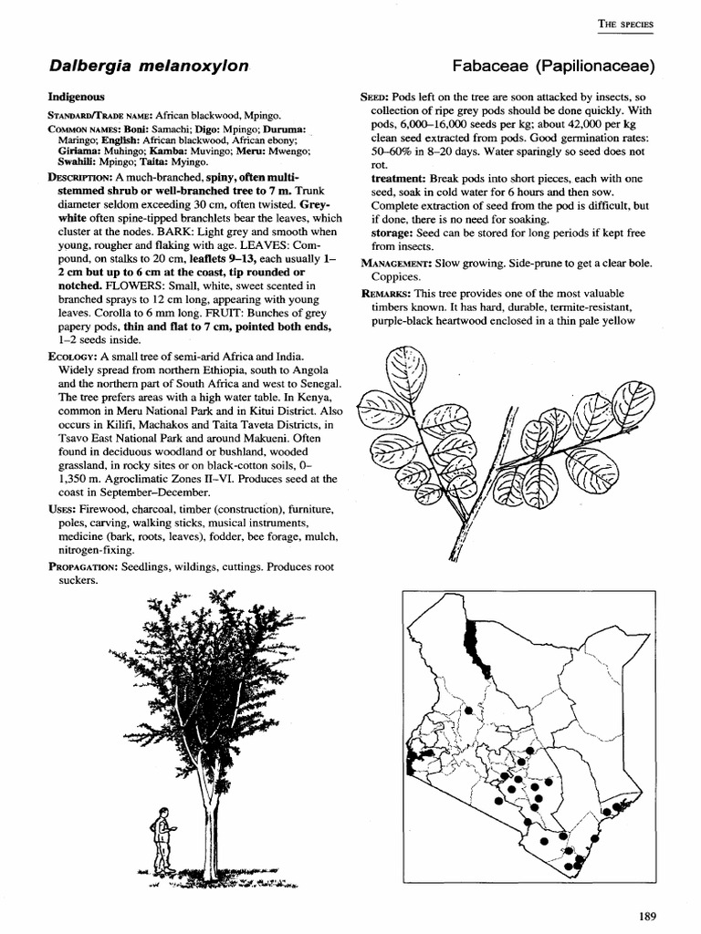 African Blackwood: Characteristics & Uses | PDF | Trees | Wood