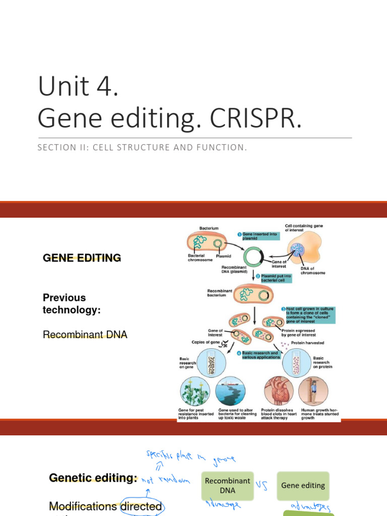 Unit 4. Gene Editing. CRISPR | PDF | Crispr | Zygosity