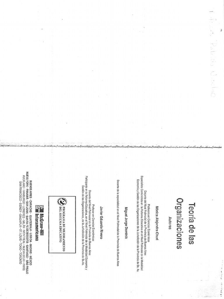 Teoria de Las Organizaciones - LIBRO Completo Churi | PDF