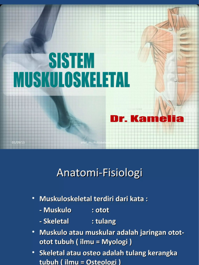 3 Fisiologi Sistem Muskulo Skeletal | PDF
